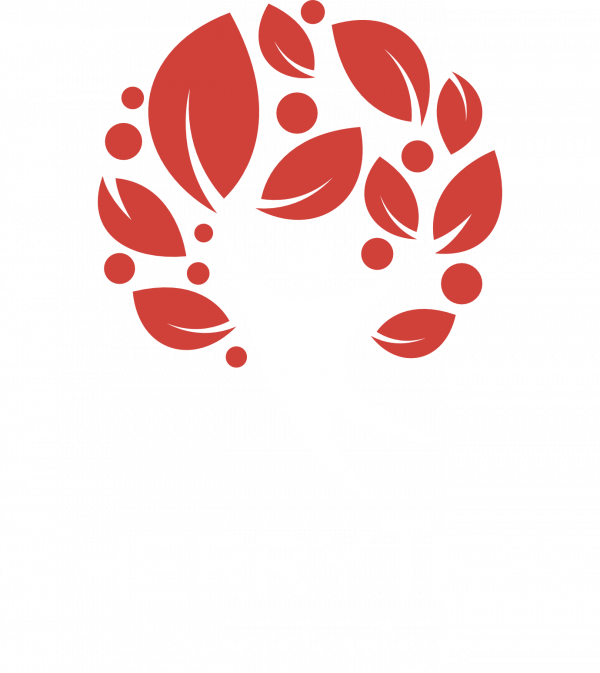 Coming soon – Cherry Tree Foundation